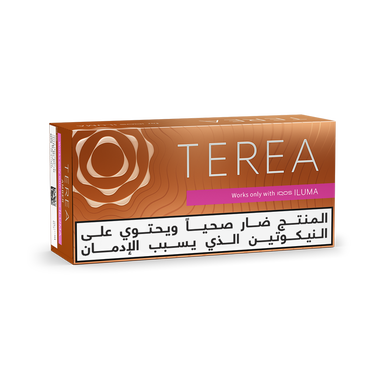 TEREA AMBER (10 packs) – Bida Vape